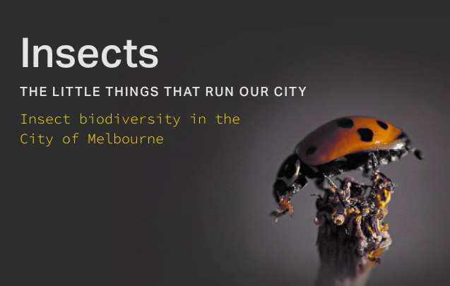 Urban Biodiversity - City of Melbourne